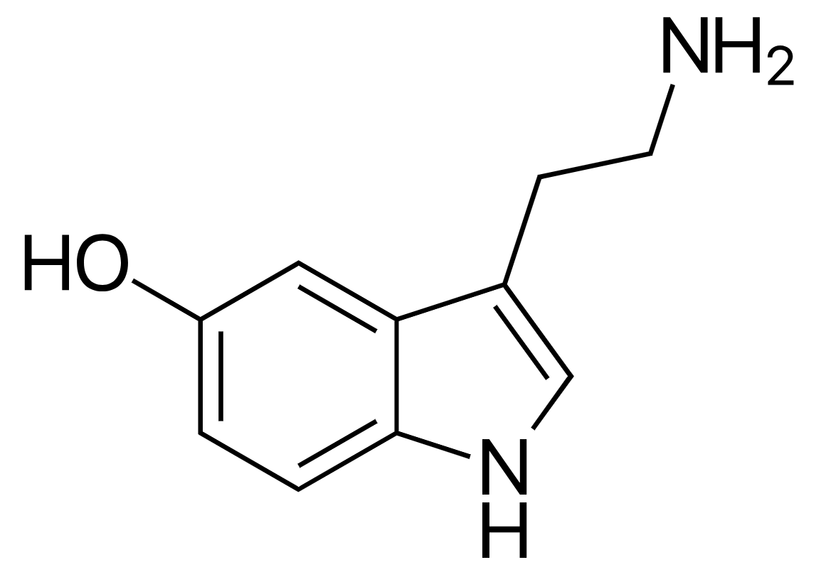Serotonin and Depression - Buesing Naturopathic
